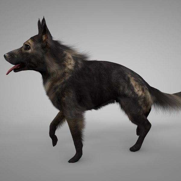 German Shepherd 3D Models for Download | TurboSquid