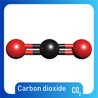 C2h2 molecule ethyne model - TurboSquid 1424332