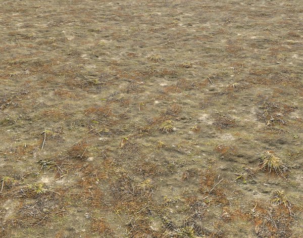 Texture PNG texture pbr landscape