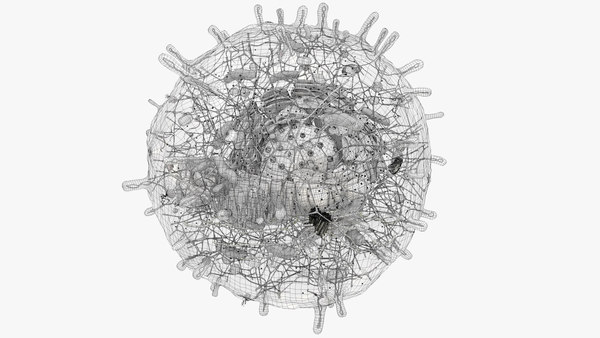 3D human cell nucleus model - TurboSquid 1416129