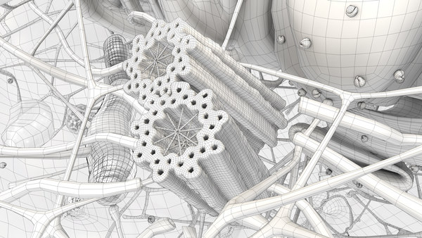3D human cell nucleus model - TurboSquid 1416129