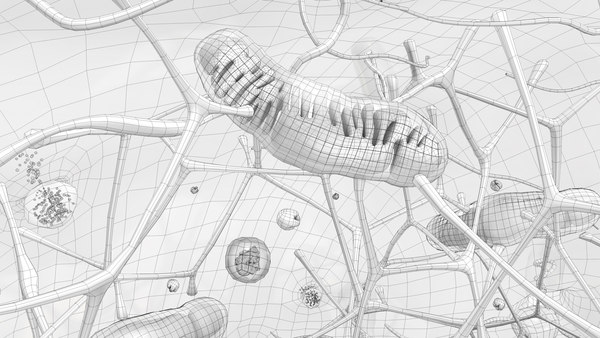 3D human cell nucleus model - TurboSquid 1416129