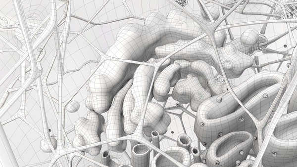 3D human cell nucleus model - TurboSquid 1416129