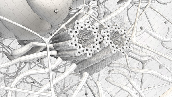 3D human cell nucleus model - TurboSquid 1416129