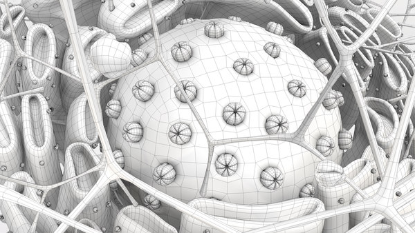 3D human cell nucleus model - TurboSquid 1416129