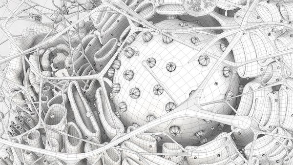 3D human cell nucleus model - TurboSquid 1416129
