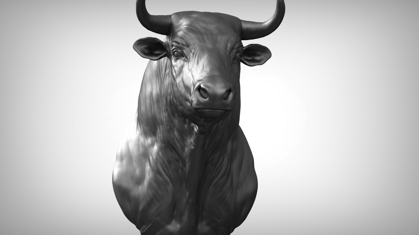 3D bull head model - TurboSquid 1424131