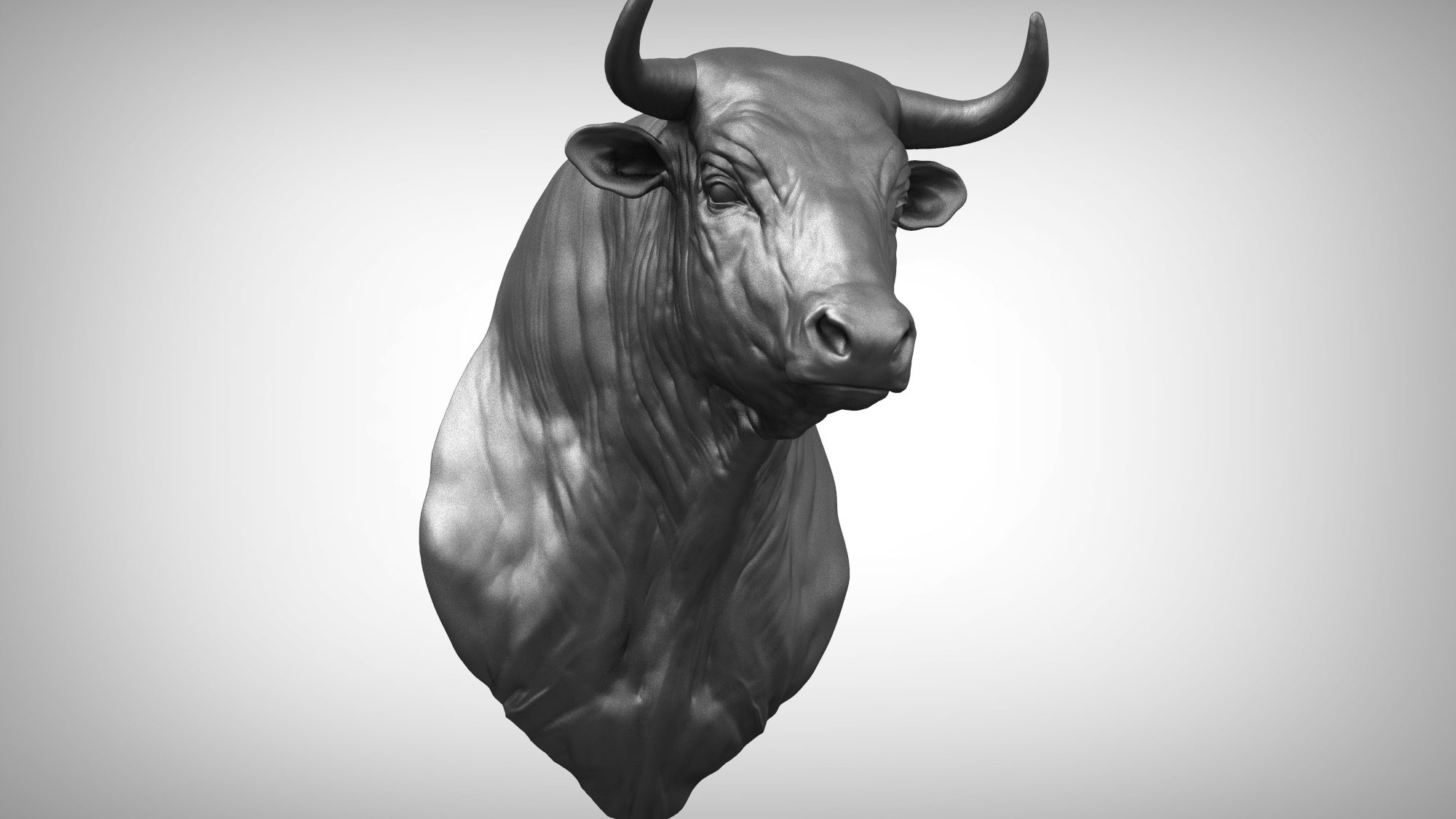3D bull head model - TurboSquid 1424131