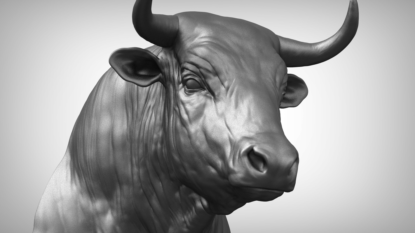 3D bull head model - TurboSquid 1424131