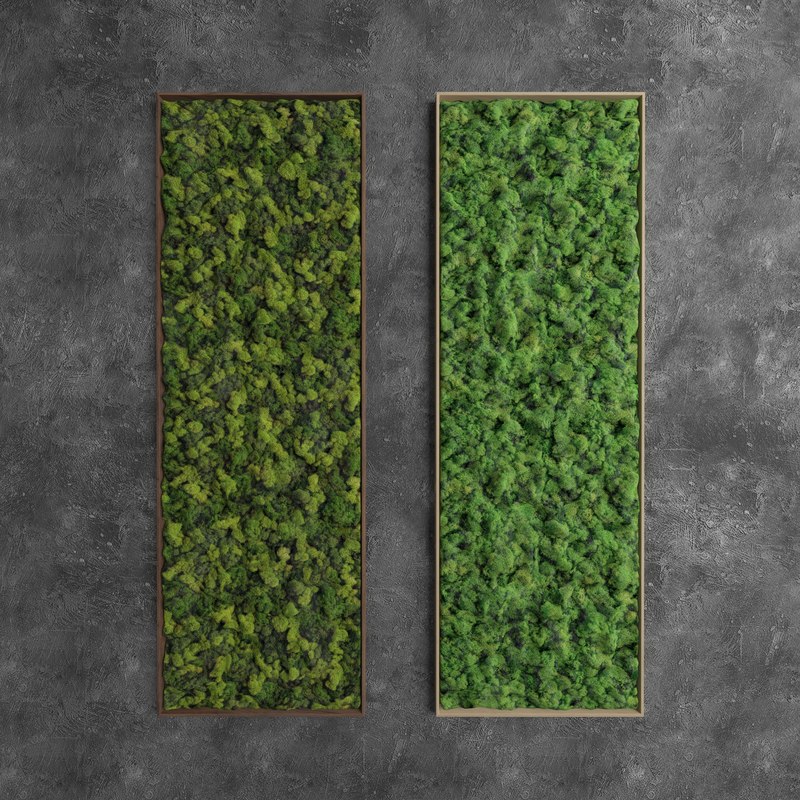 3D decorative moss - TurboSquid 1424834