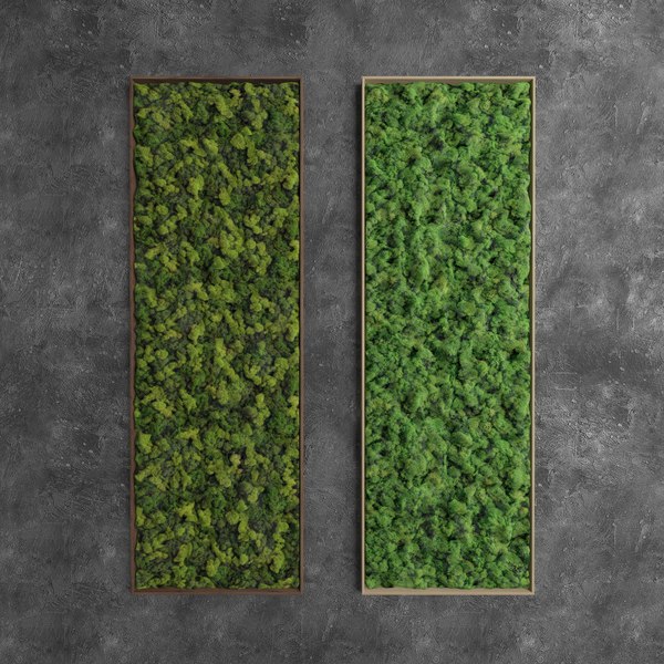 3D Moss Models | TurboSquid