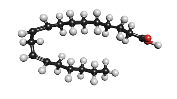 3D модель 3D модель лейцина C6H13NO2 - TurboSquid 1424861