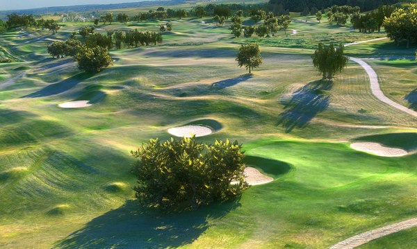 Golf course hd 3D model - TurboSquid 1424924