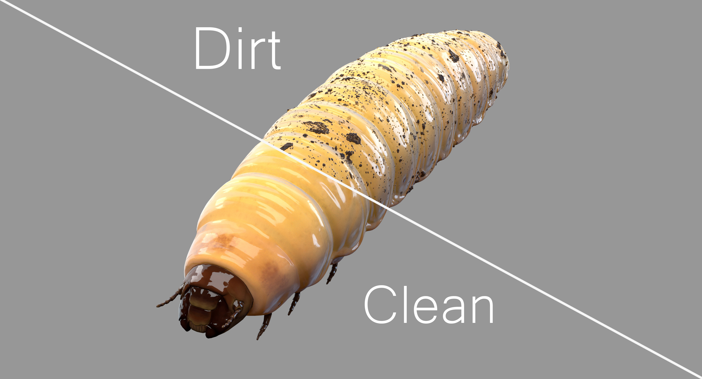 3D realistic maggot - TurboSquid 1425173
