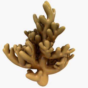 Coral Reef STL Models for Download | TurboSquid