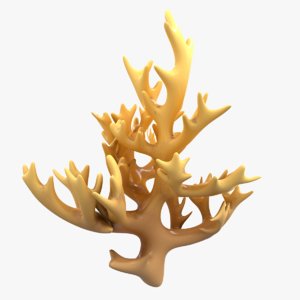 Coral Reef STL Models for Download | TurboSquid