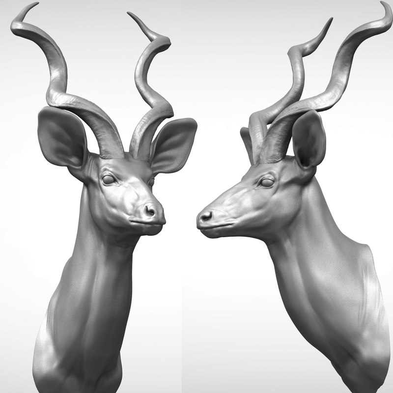 3D greater kudu head sculpture model - TurboSquid 1426063