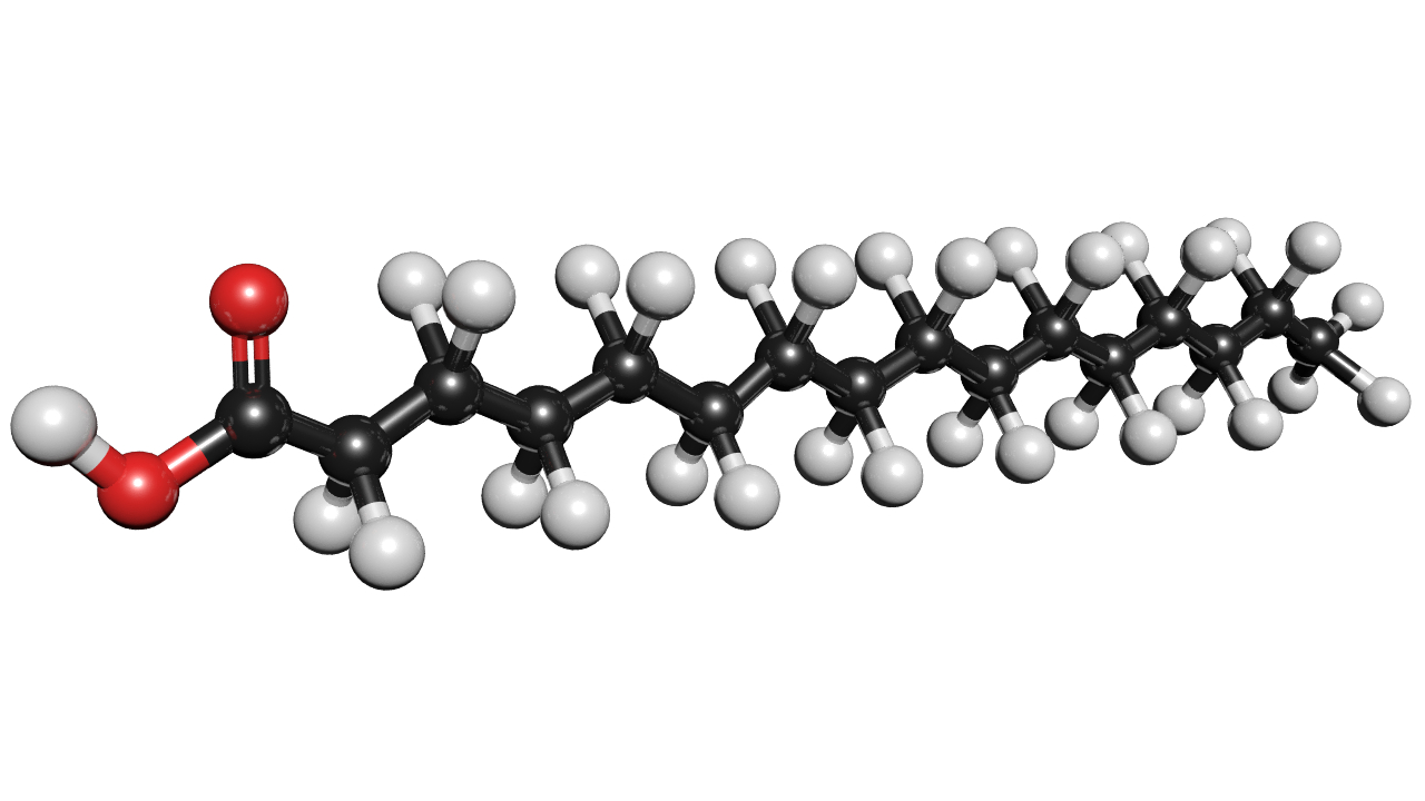 modèle 3D de Acide Palmitique Modèle 3D C16H32O2 - TurboSquid 1426408