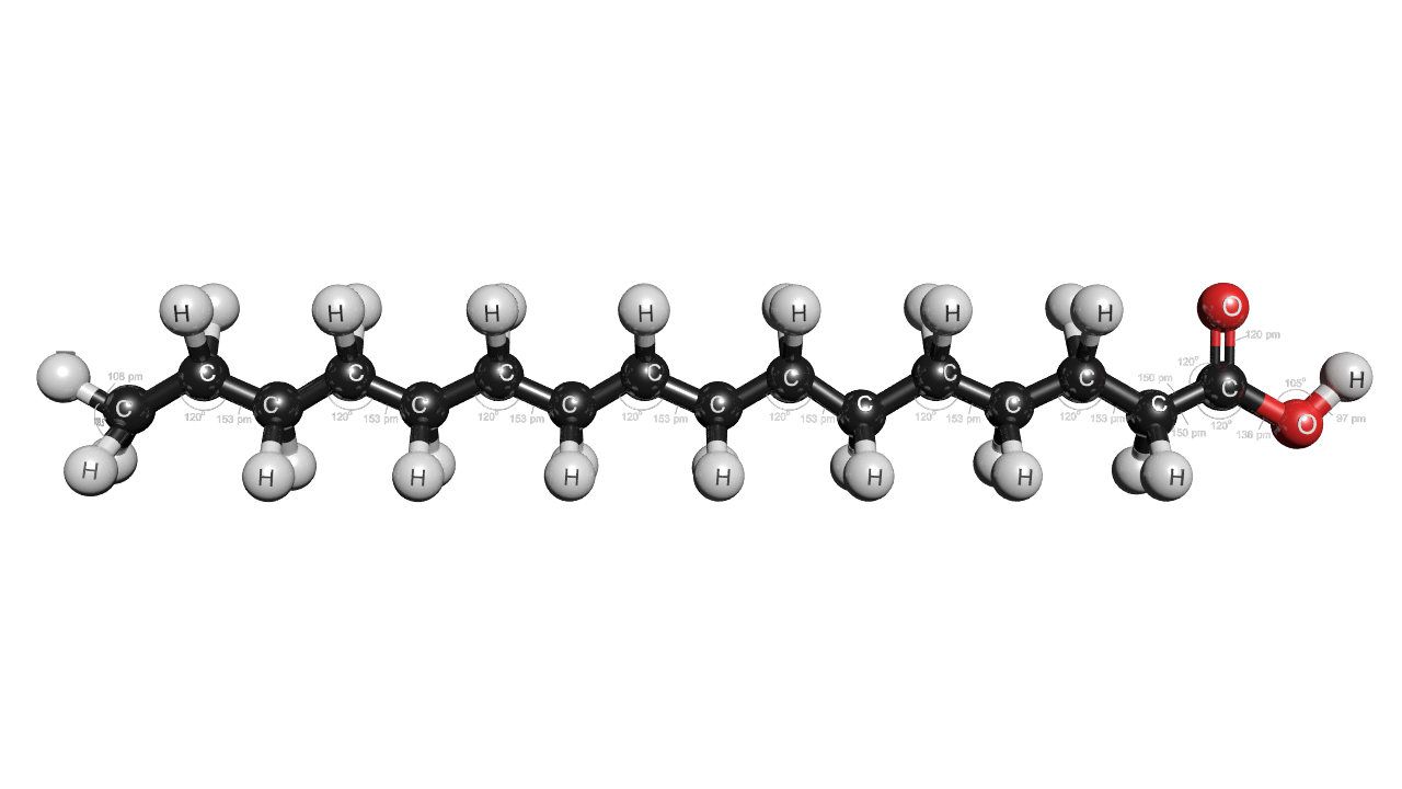 modèle 3D de Acide Palmitique Modèle 3D C16H32O2 - TurboSquid 1426408