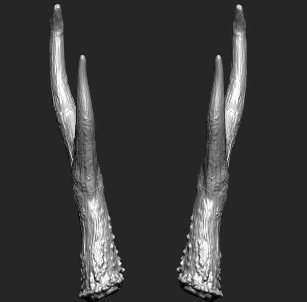 Animal Horns 3D Models for Download | TurboSquid