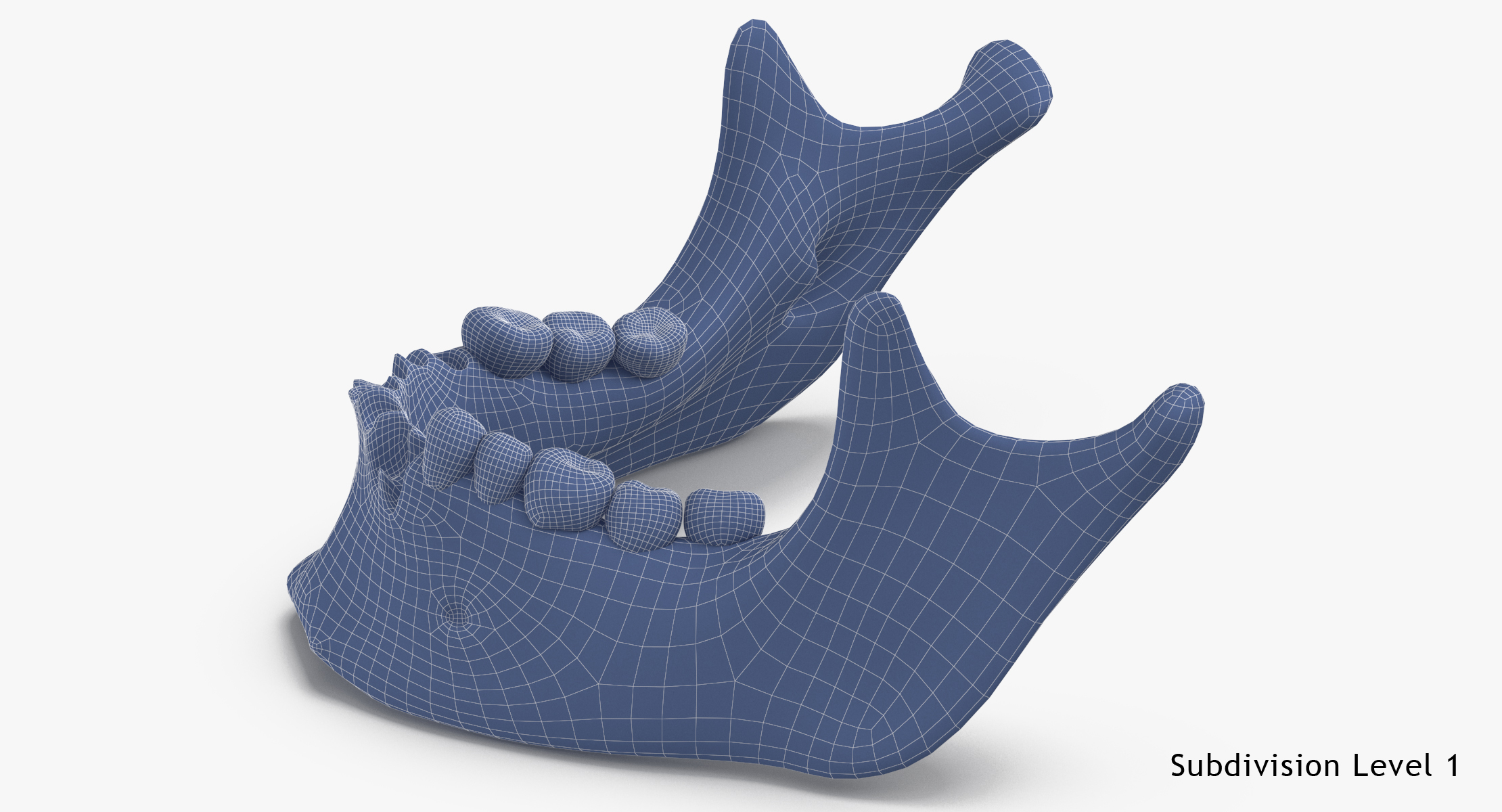 Human jawbone mandible 01 3D model - TurboSquid 1426804