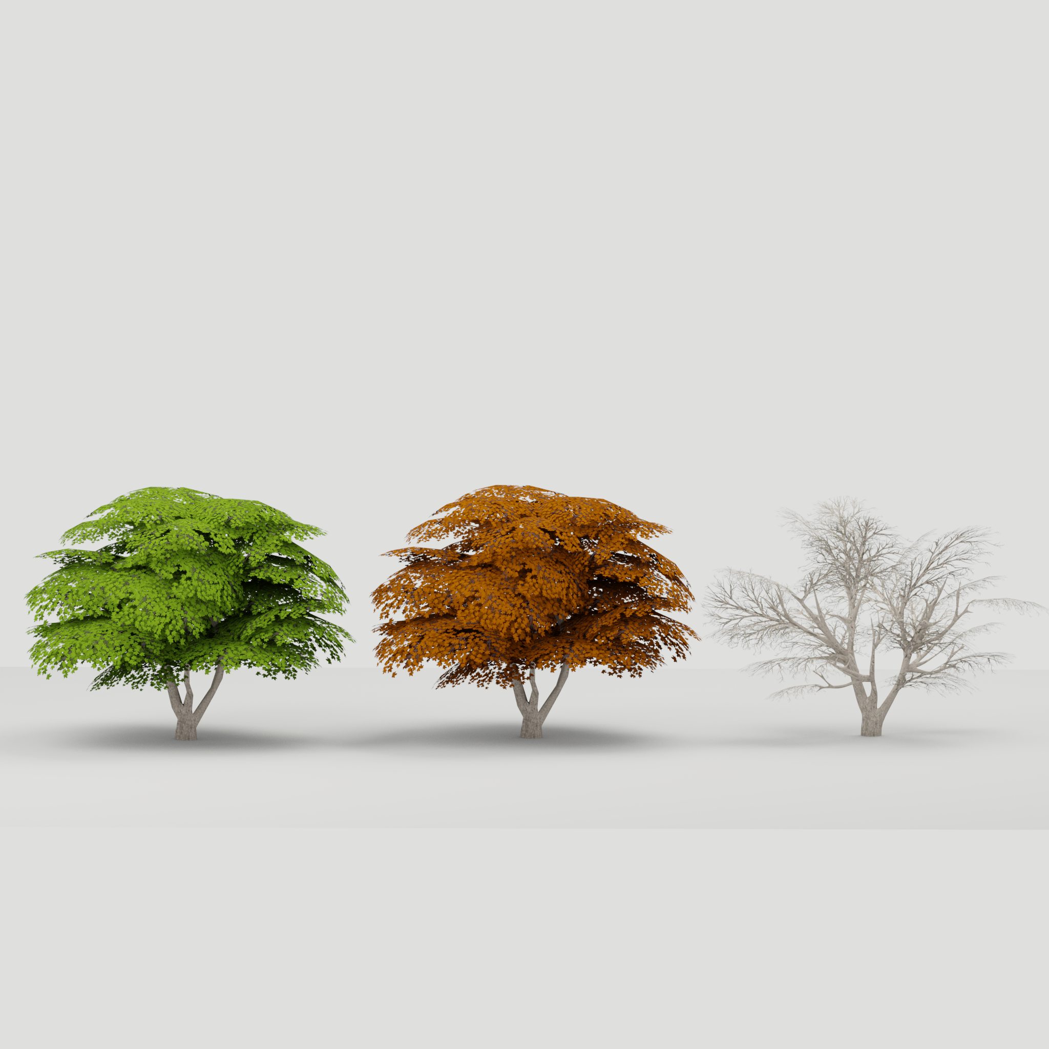 Trees 3D model - TurboSquid 1427036
