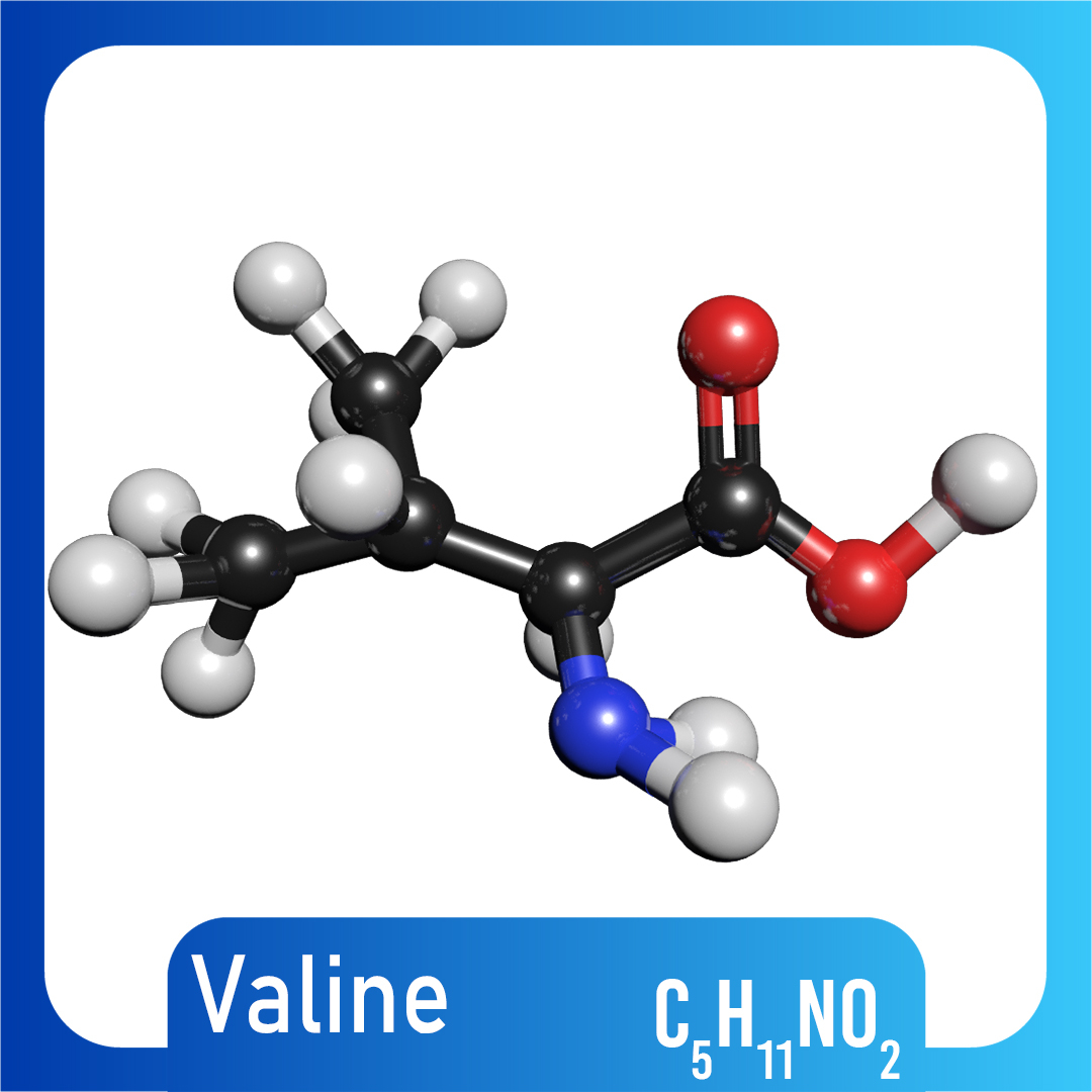 Valine modelo 3D C5H11NO2 Modelo 3D - TurboSquid 1427444