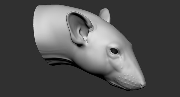 Rat head 2019 3D model - TurboSquid 1428004