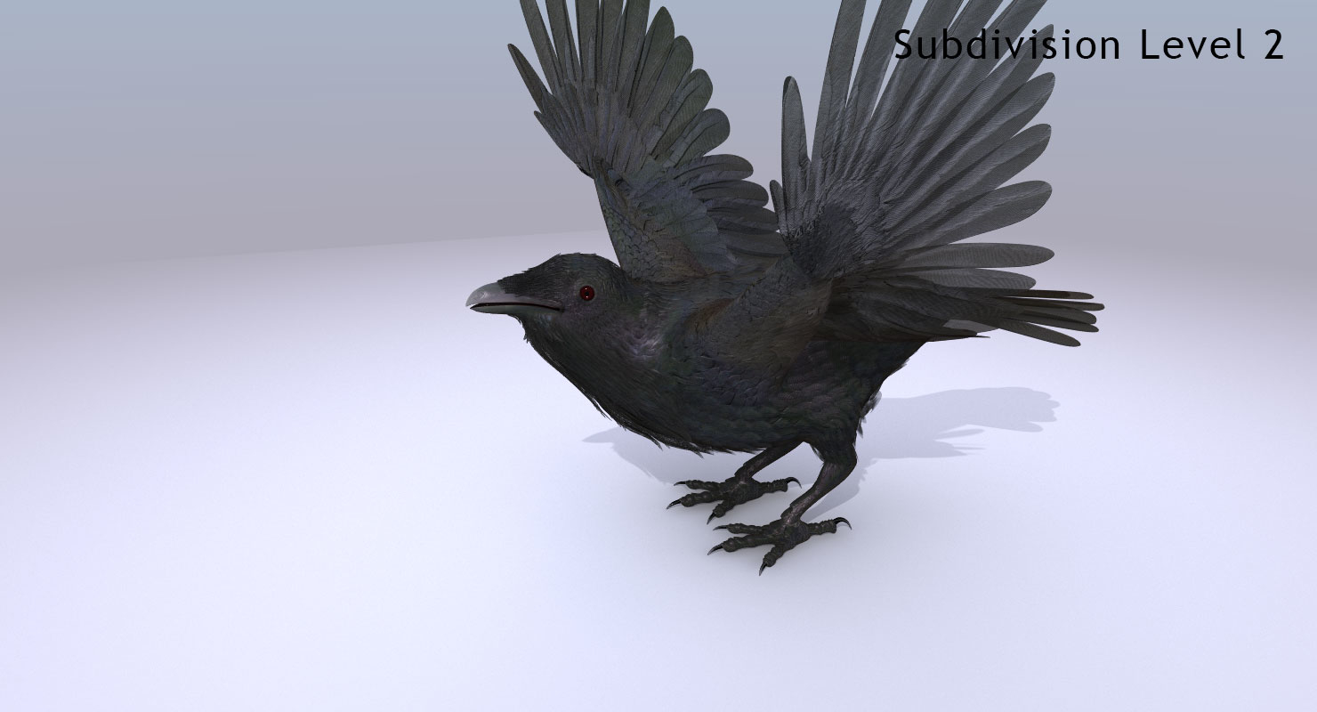 CORVUS - CORVO Modelo 3D - TurboSquid 1428023