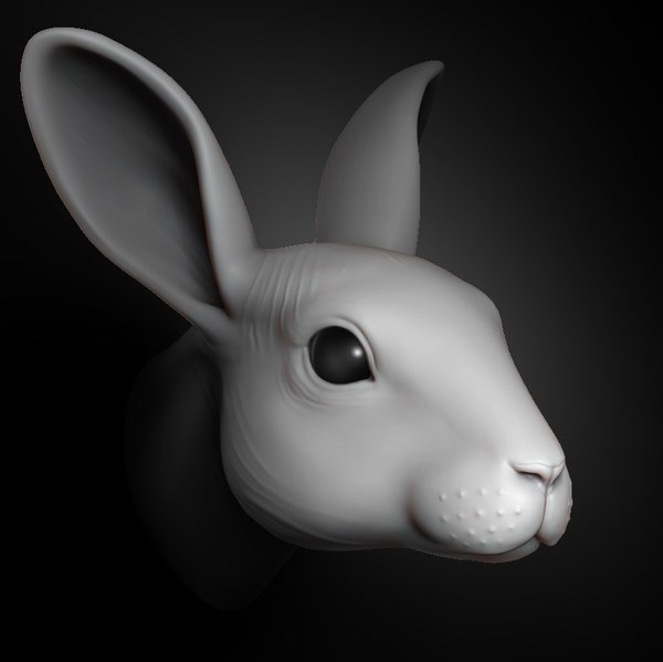 Animal Rabbit-Animal 3D Models for Download | TurboSquid