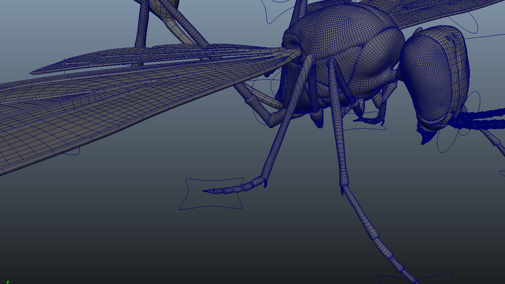 3D wasp basic rig - TurboSquid 1428177