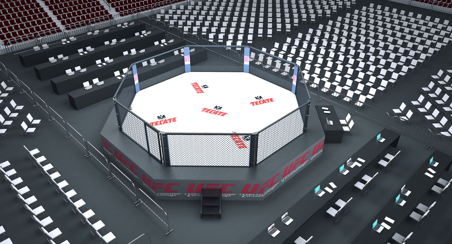 Ufc stadiums 3D model - TurboSquid 1428302