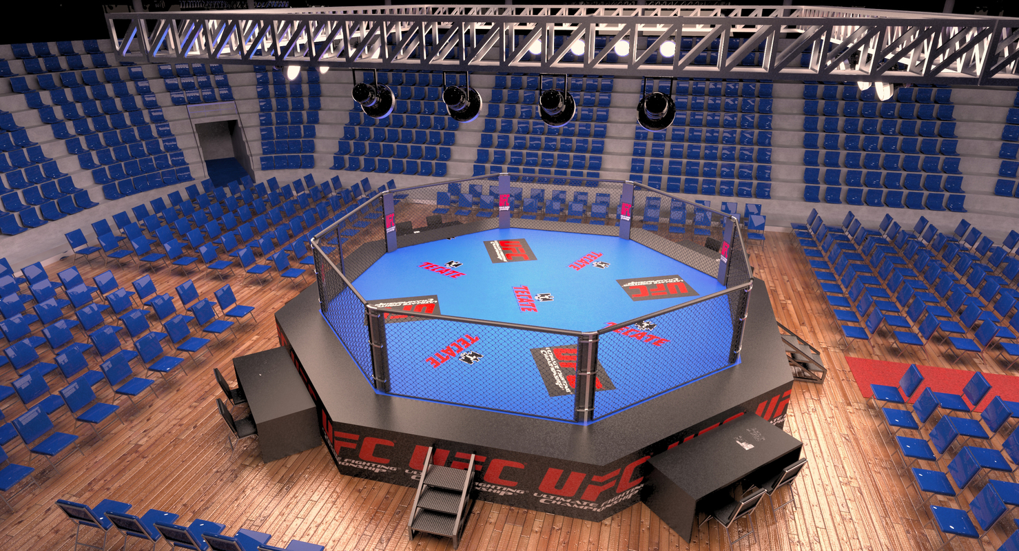 Ufc stadiums 3D model - TurboSquid 1428302