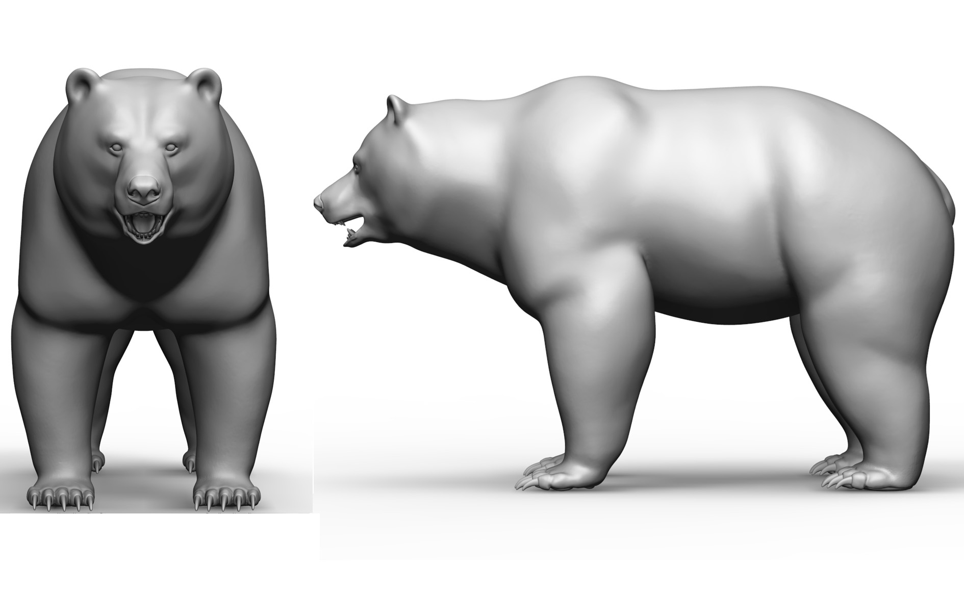 Brown bear base mesh 3D model - TurboSquid 1428309