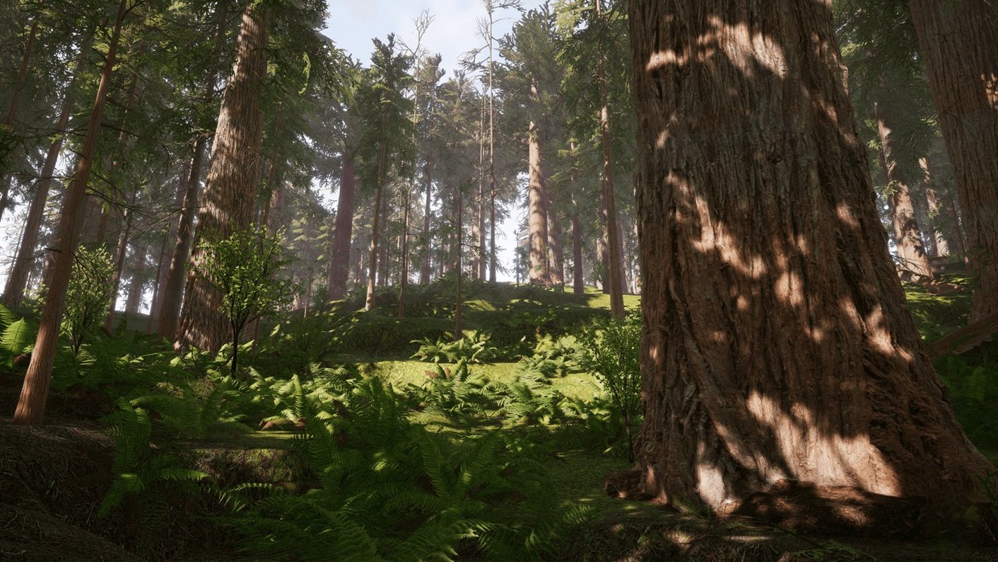 Redwood trees ferns model - TurboSquid 1428861