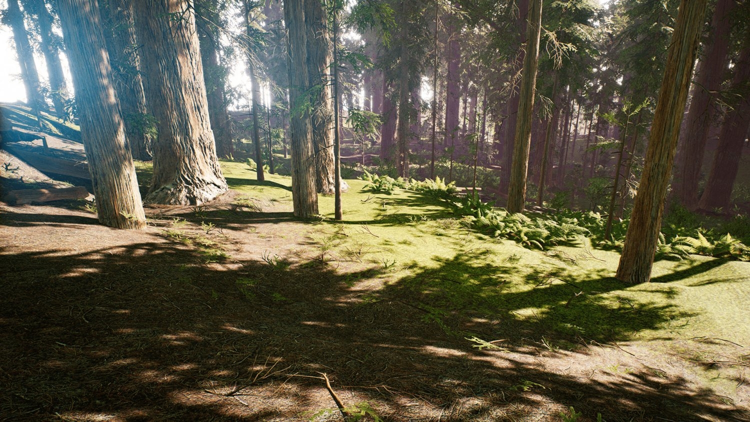 Redwood trees ferns model - TurboSquid 1428861