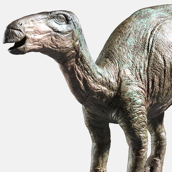 3d corythosaurus dinosaur animation model
