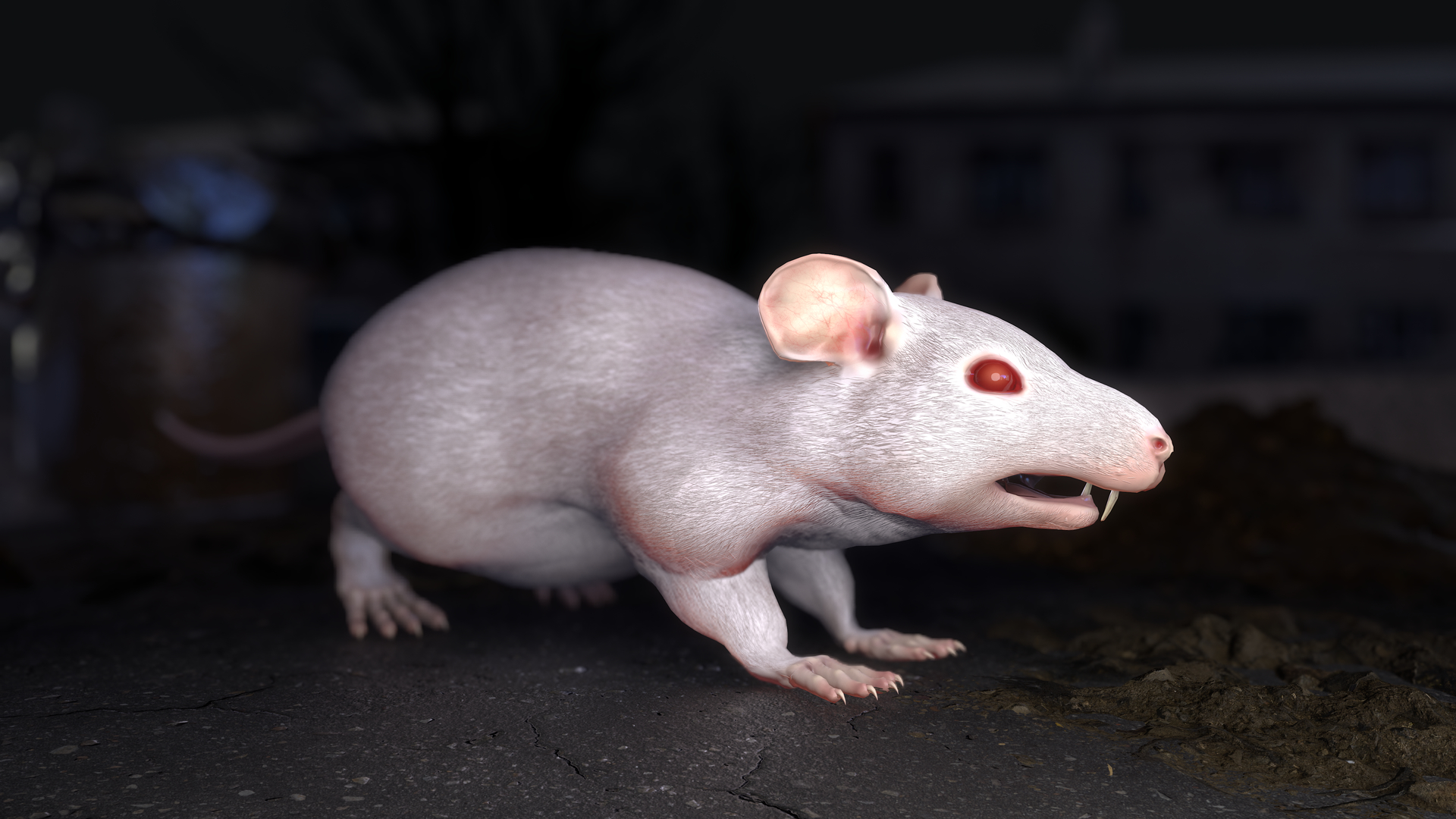 3D brown rat 5 - TurboSquid 1428128