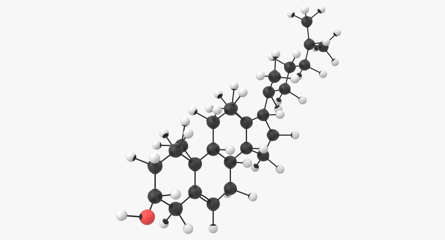 Cholesterol molecule 3D model - TurboSquid 1430117