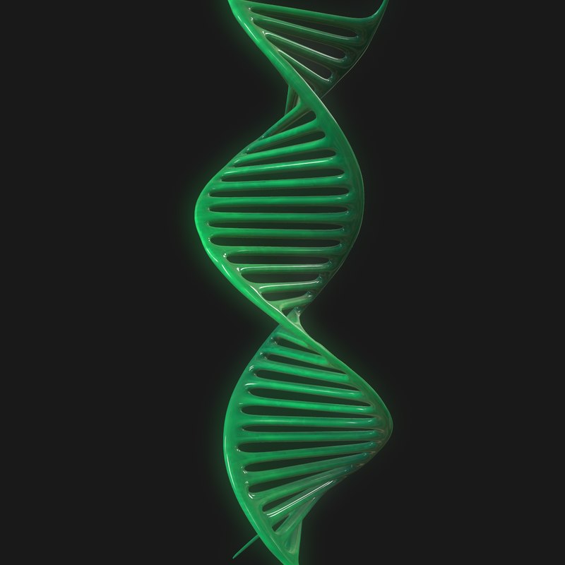 3D dna science helix model - TurboSquid 1430285