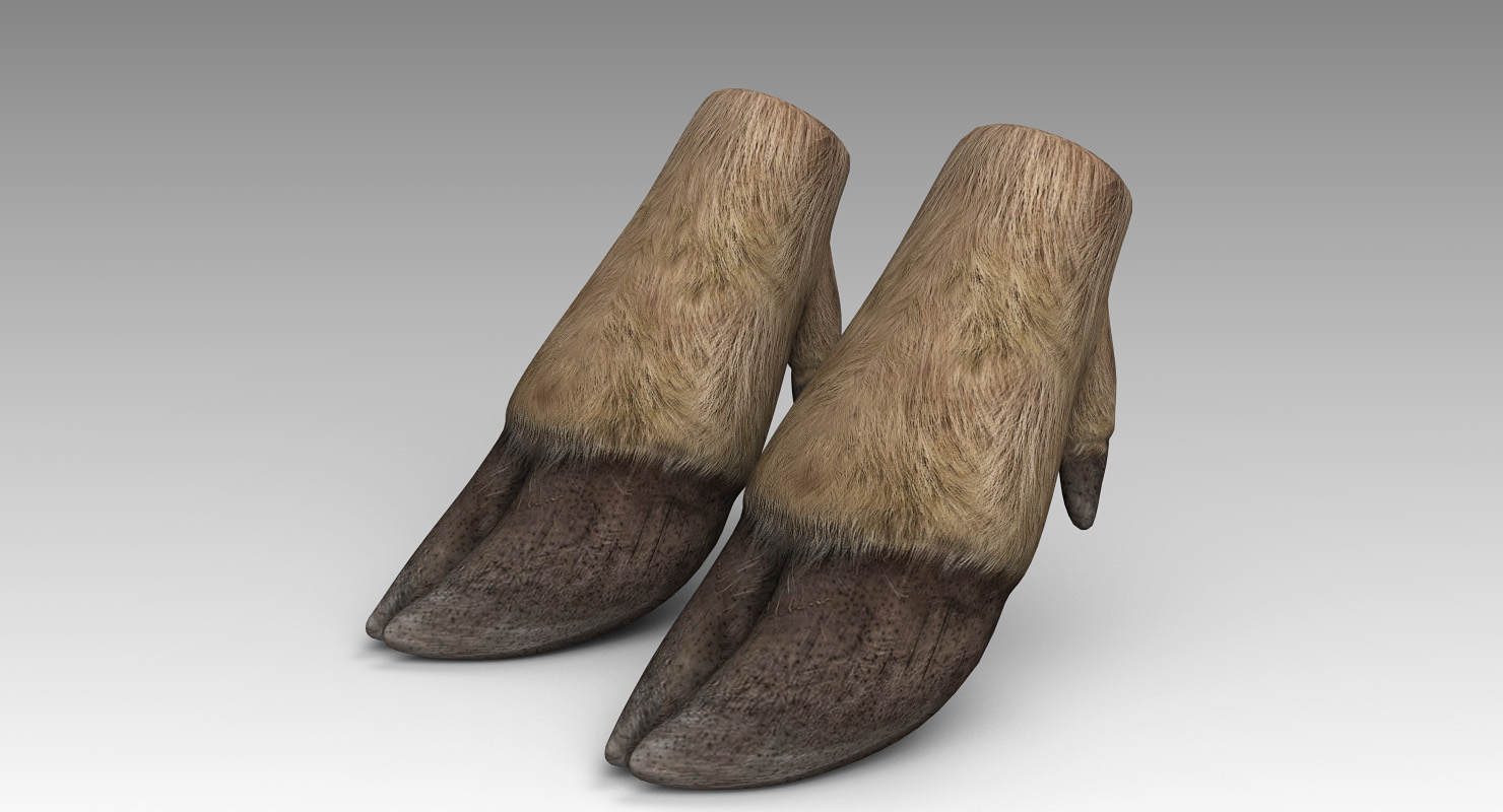 3D model moose hoof - TurboSquid 1430717