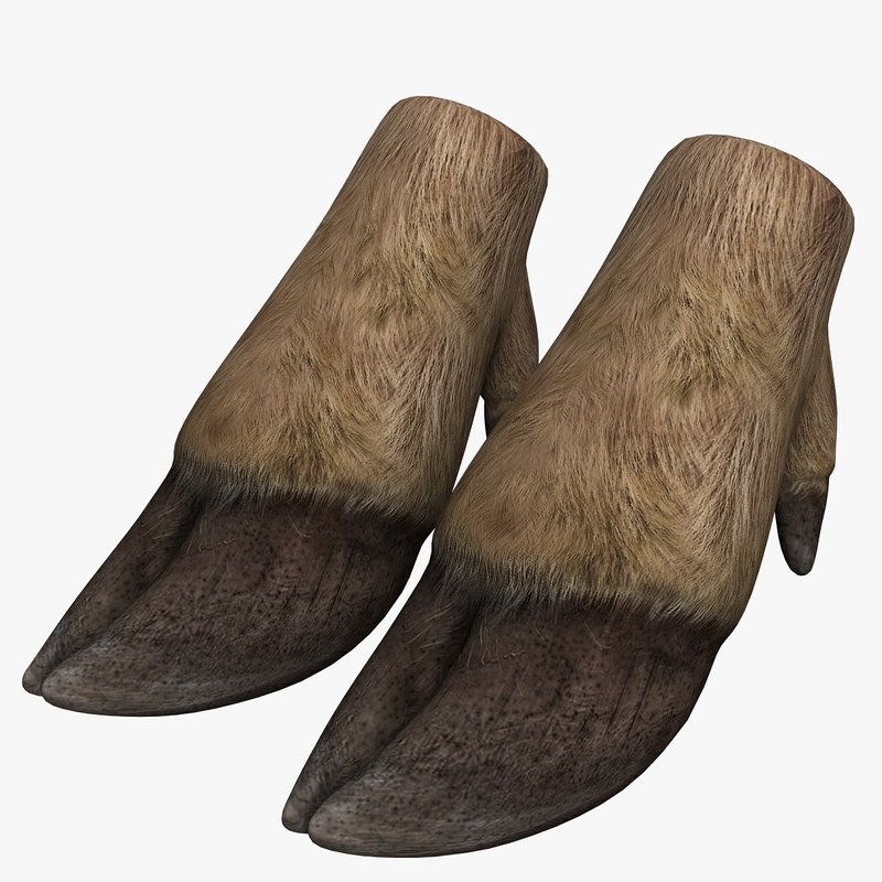 3D model moose hoof - TurboSquid 1430717