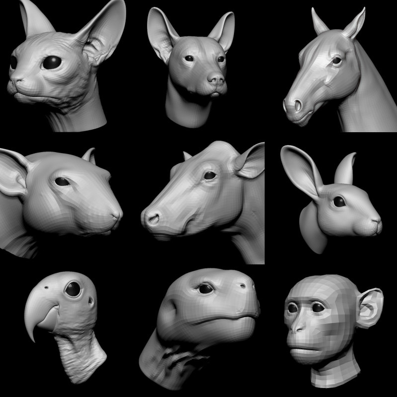 3D модель Коллекция Голова Головы Животного vol.1 - TurboSquid 1430834