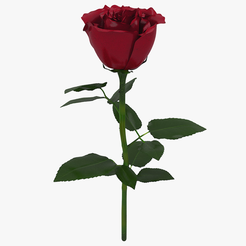 3D rose model - TurboSquid 1403778