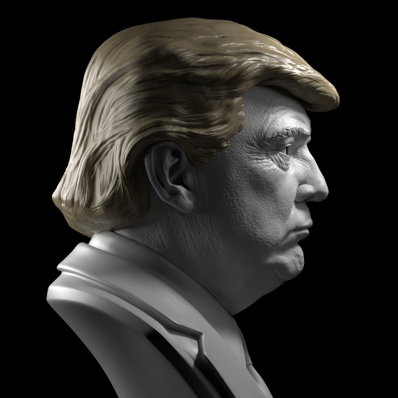 Donald trump 3D model - TurboSquid 1431095