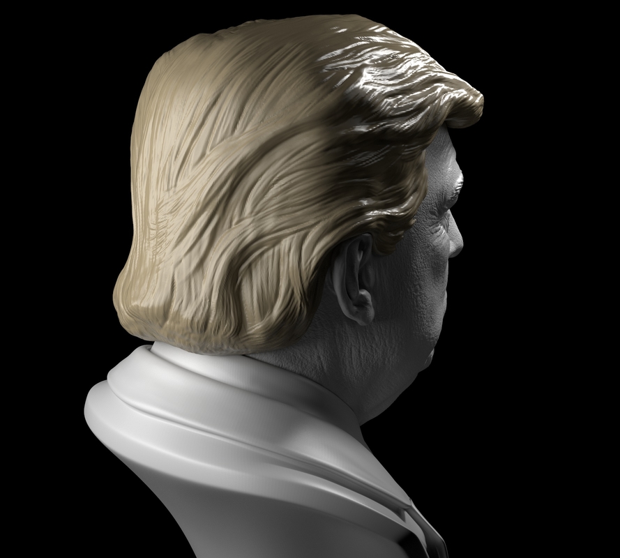 Donald trump 3D model - TurboSquid 1431095