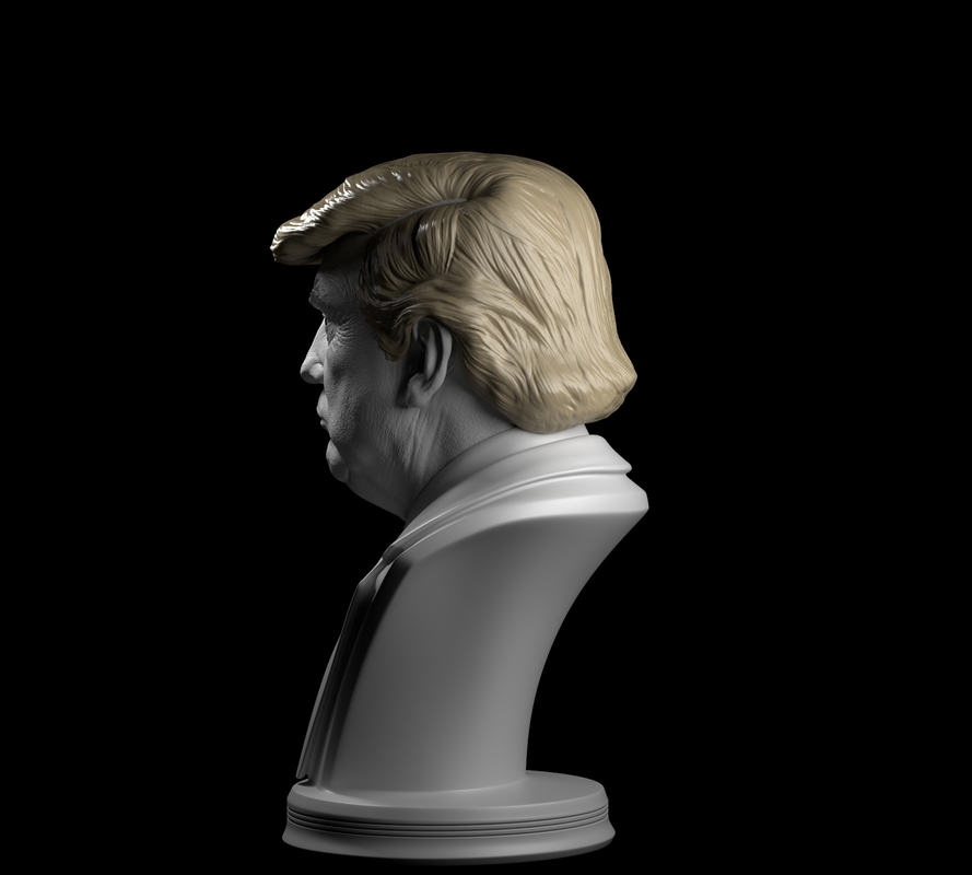 Donald trump 3D model - TurboSquid 1431095