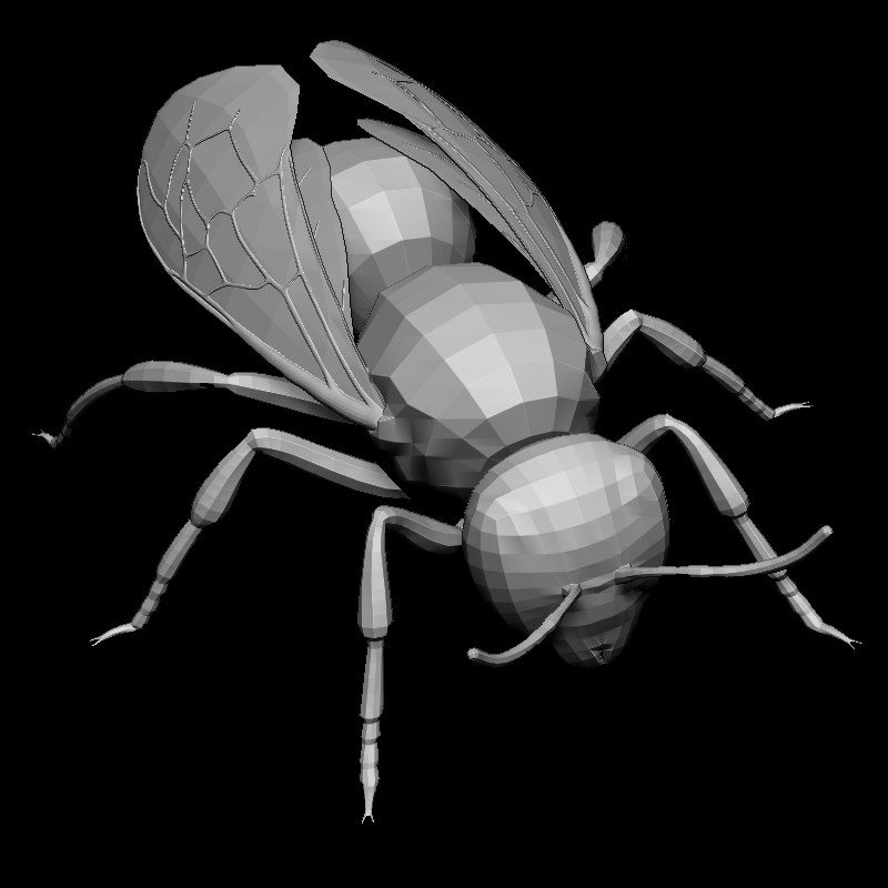 3D honey bee insect animal creature - TurboSquid 1431435