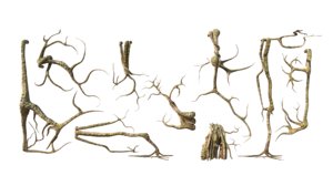 tree roots 3d model