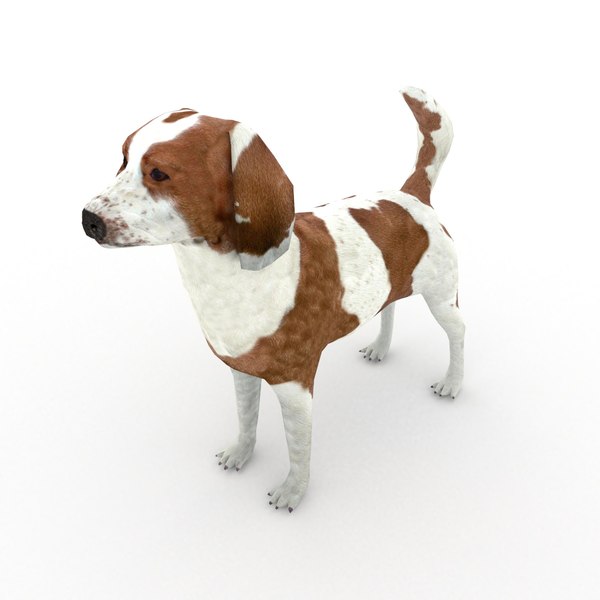 Beagle Hund 3D-Modell - TurboSquid 1431708